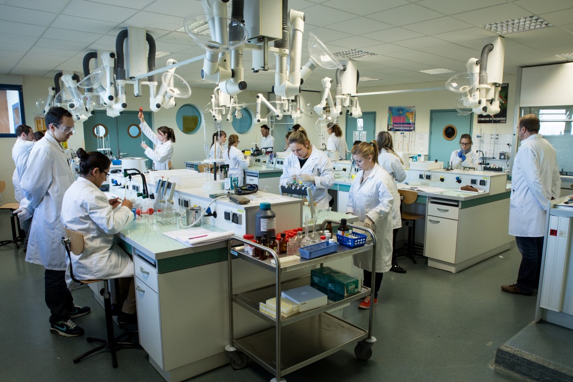 Formation de Laboratoire - Analyses Biologiques et Médicales